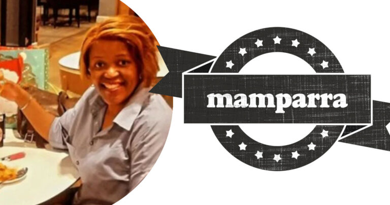 Mampara Causes Chaos on FlySafair Flight